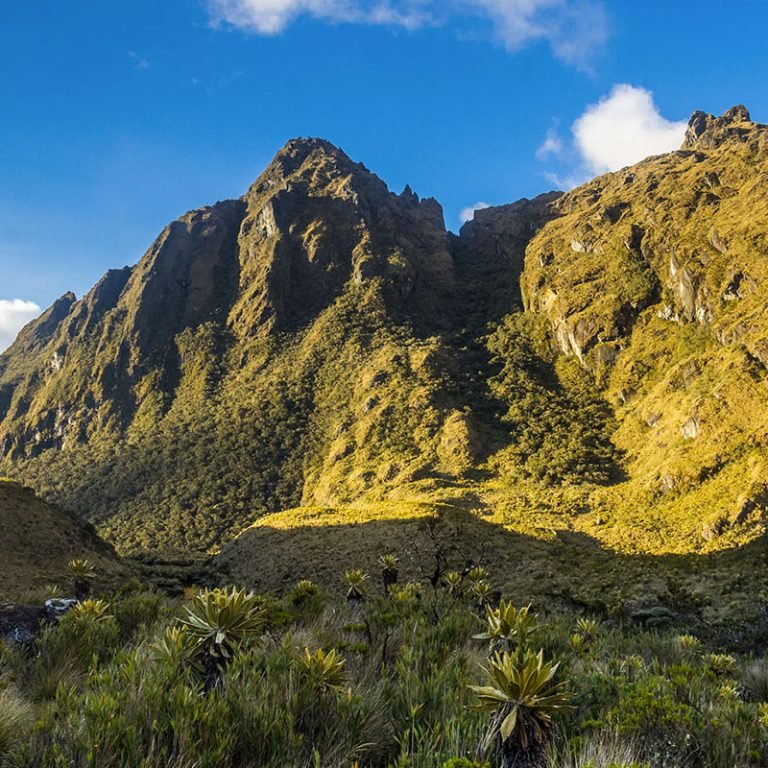 Parque Natural Páramo de las HERMOSAS 🥇 Abarca 3 departamentos